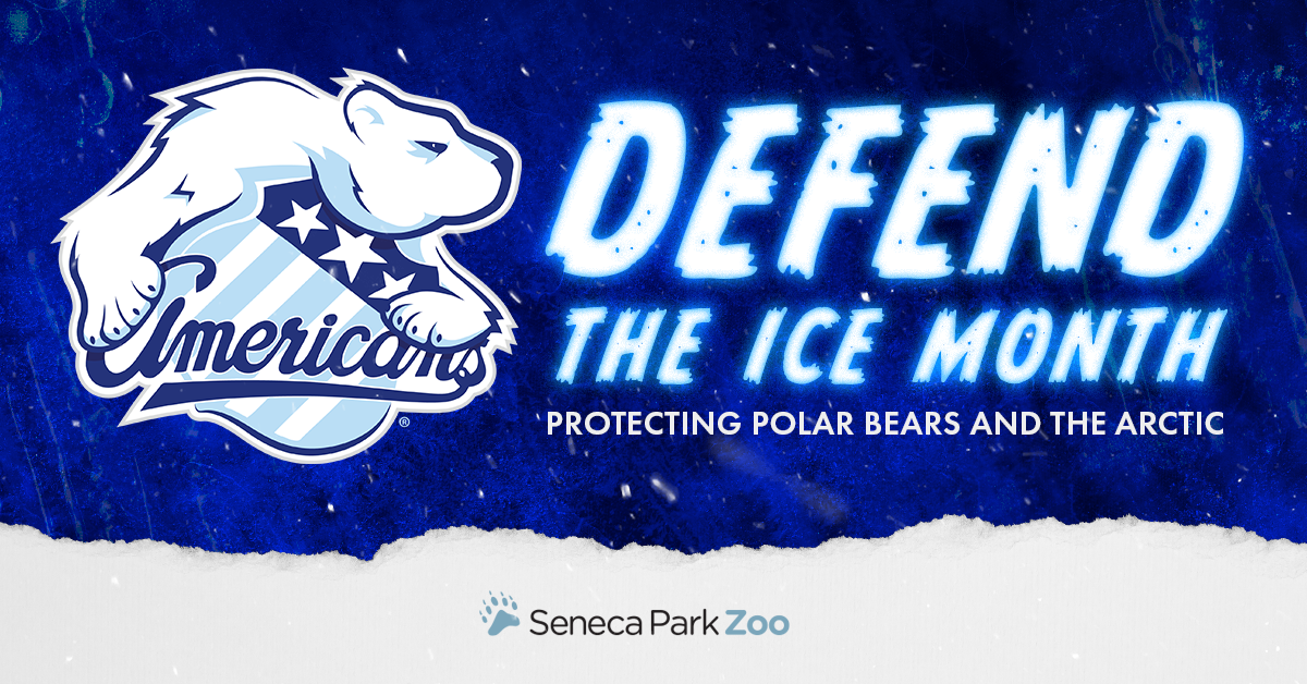 AMERKS RENEW PARTNERSHIP WITH SENECA PARK ZOO SOCIETY FOR “DEFEND THE ...